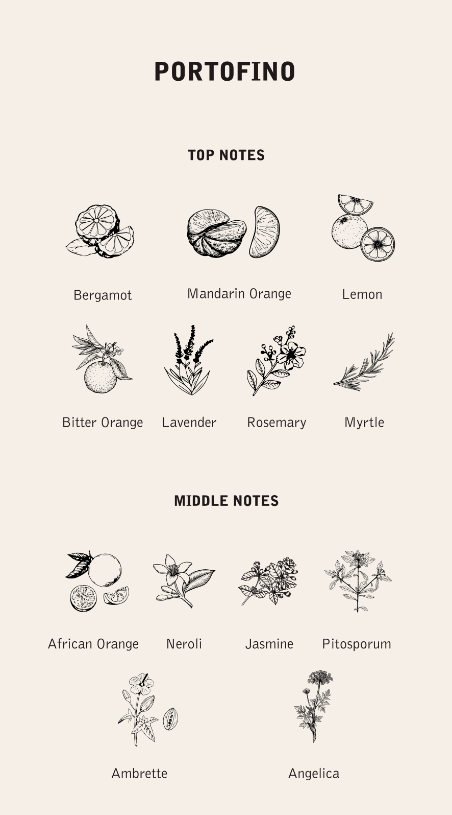 PORTOFINO – NNT LAB